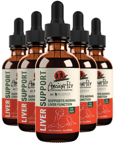Ancient Pet Liver Support Advanced Liver Support